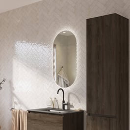 Ben Clip Spiegel 40x80 cm Transparant - Sanidirect
