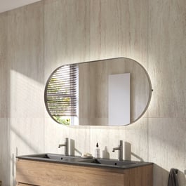 Ben Vita Spiegel 60x4x120 cm Geborsteld RVS - Sanidirect